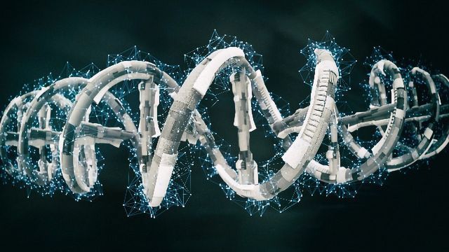 Retrogenes Are More of a Burden Than You Thought | Technology Networks