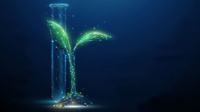 Exploiting the Therapeutic Potential of Plants | Technology Networks