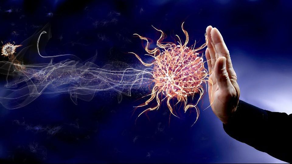 Hidden Link Between Cellular Defense Systems Discovered | Technology ...