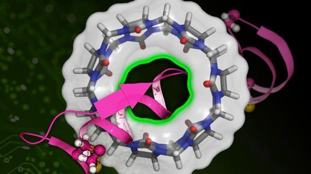 Quickly Calculating Drug–Target Binding Affinity With Machine Learning ...