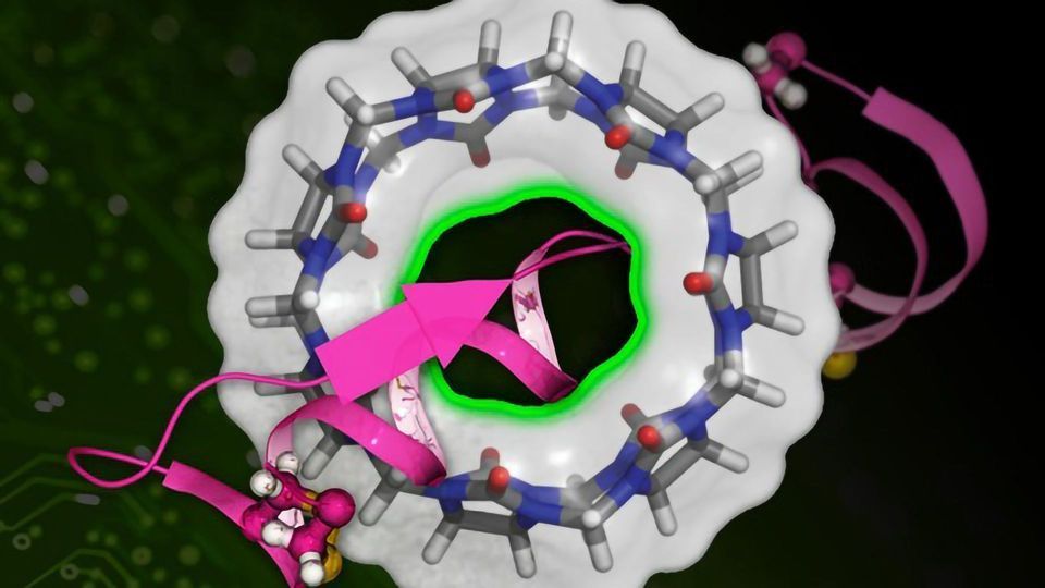 Quickly Calculating Drug Target Binding Affinity With Machine Learning