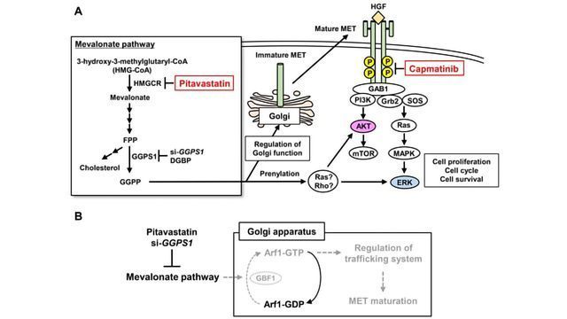 Finding New Uses for Existing Drugs | Technology Networks