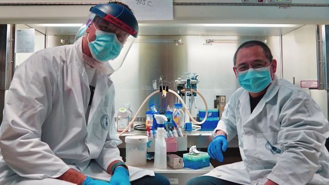 Low-Cost Pinprick Test Measures COVID-19 Immunity in Under One Hour ...