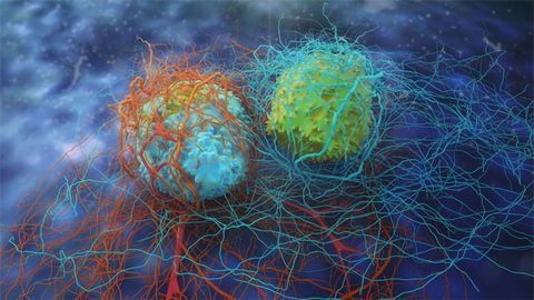 Cancer Drug Discovery: A Molecular Journey to Targeted Treatment ...