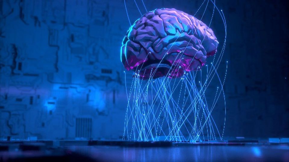 Why a Brain-on-a-Chip Would Need Little Training | Technology Networks