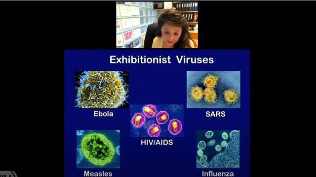 Human Oncogenic Viruses: Nature, Discovery and Running Around in ...