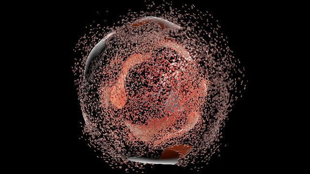 New Insights Into How Cells Transport Their Waste for Recycling ...