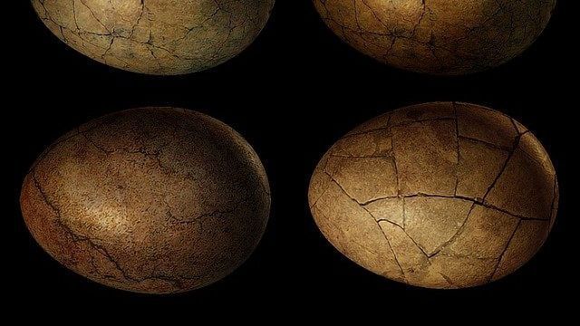 Fossilized Dinosaur Eggshells Give Up Their Molecular Secrets ...
