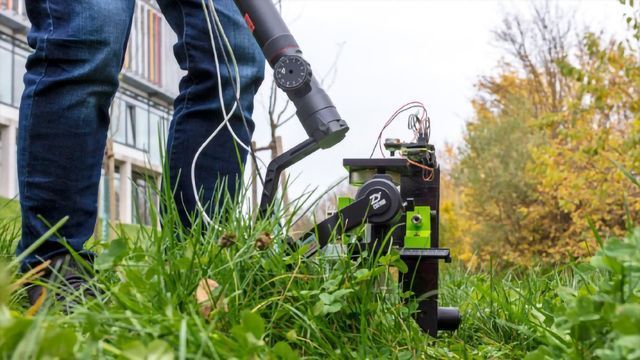 Mouse Cam: New Camera System Reveals How Rodents See the World ...