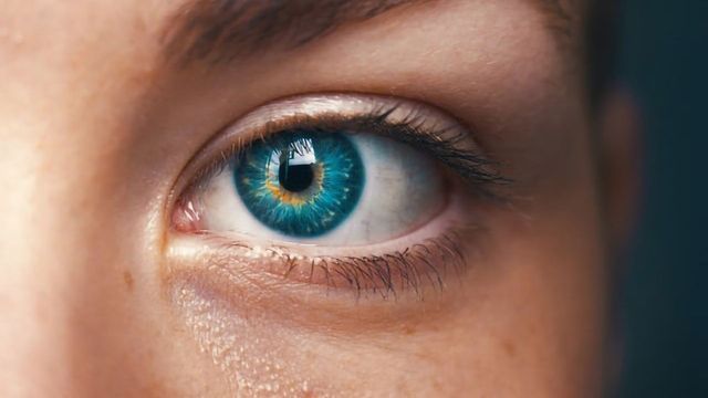 Melanoma of the Eye: Preclinical Study Points to Potential Treatment ...