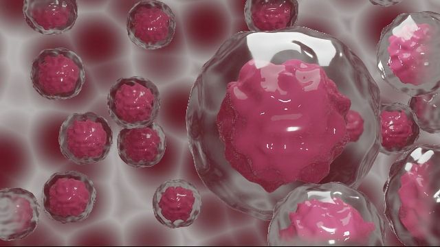 Key Stem Cell Dormancy Mechanism Discovered | Technology Networks