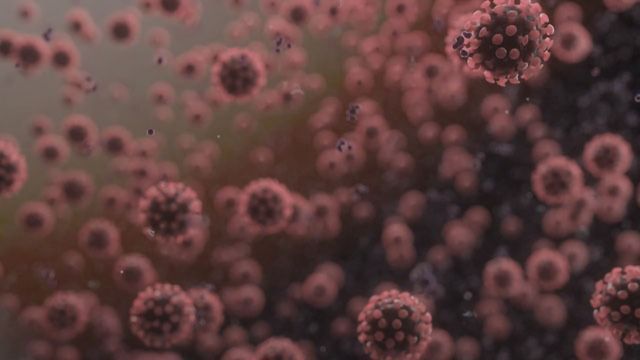 Drug Reduces SARS-CoV-2 Infection by Up to 70% in Cell-Based Screen ...