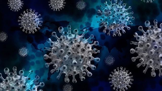 Ideas for a Pan-Coronavirus Vaccine | Technology Networks