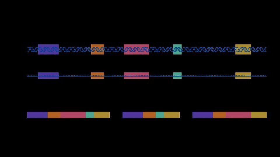 Alternative Splicing: Definition, Types & Importance | Technology Networks