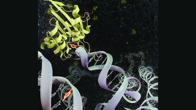 Enzyme Could Be Key to Fighting Cancer and Viral Infections ...