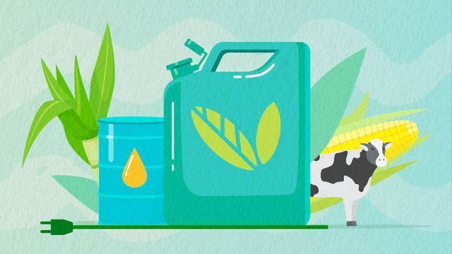 Biofuels Infographic | Technology Networks