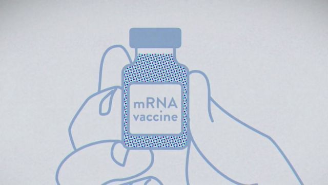 How the COVID-19 Vaccines Were Created So Quickly | Technology Networks