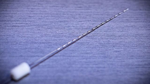 Brain Implant Electrodes Evoke Sense of Touch | Technology Networks