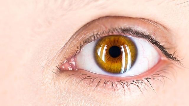 Visual Cortex Neurons "Drift" Over Time | Technology Networks