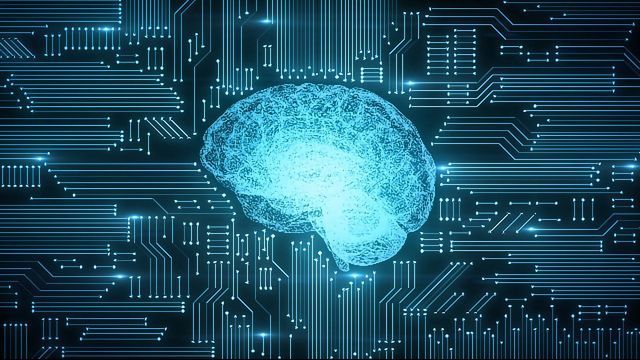 Does the Brain Learn Like a Computer Learns? | Technology Networks