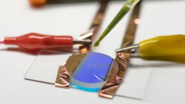 Making the Most of Algae's Energy-Generating Properties | Technology ...