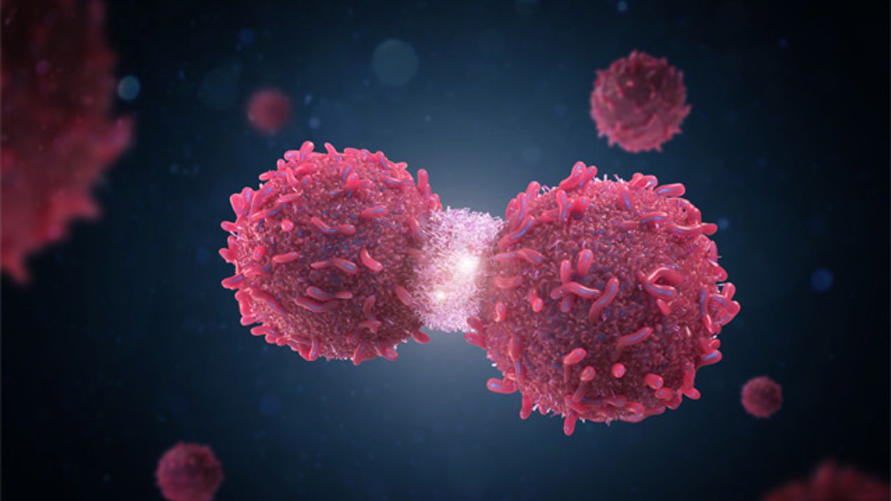 Cell Signaling in Cancer: Communicating Recent Advances | Technology ...