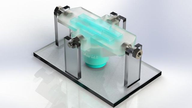 Synthetic Tissue Can Repair Hearts, Muscles and Vocal Cords ...