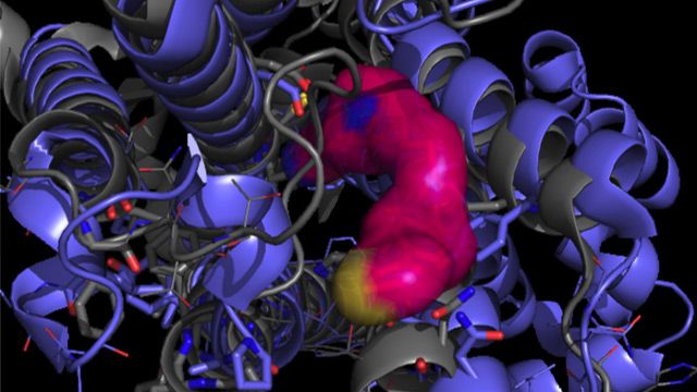 Compound Reduces Erratic Movements Linked to Parkinson's in Animal ...