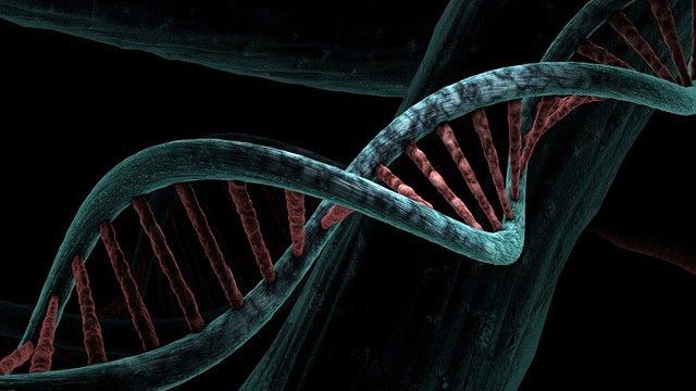 New Gene-Writing Tool Helps To Develop Advanced Gene Therapies ...