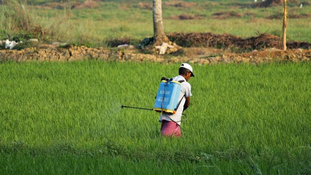 CRISPR Cas-9 Tool Reverses Insecticide Resistance | Technology Networks