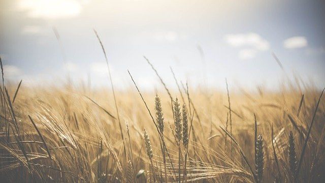 Notion That Rural Air Pollution Is Less Harmful Than Urban Challenged ...