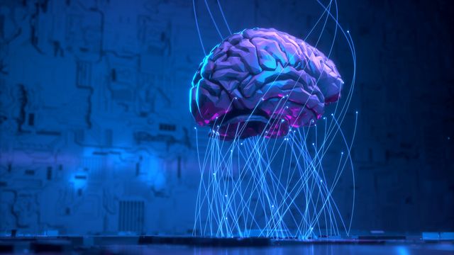 Deep Learning Model Simulates Brain Topography | Technology Networks