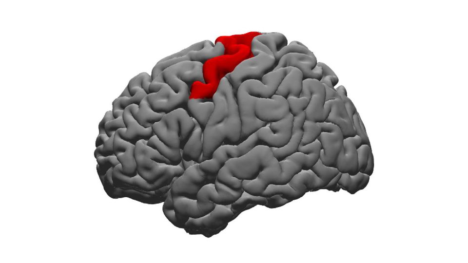 Brain Area Helps the Brain Communicate Meaning Through Voice ...