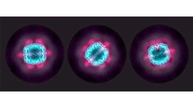 Molecular Cage Stabilizes Cancer Proteins Allowing Researchers a Better ...