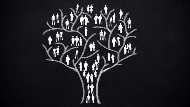 Oxford Team Creates a “First Draft” of Humanity’s Family Tree ...
