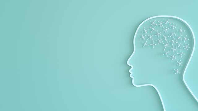 Exploring How Attention-Switching Brain Networks Vary in Autism ...