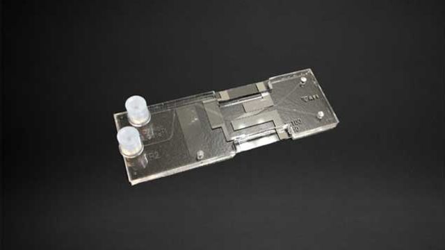 Microfluidic Chip Enables Faster, More Efficient Living Cell Separation ...