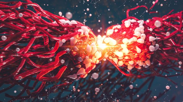 Fluorescent Label Reveals DNA Disruption in Cancer Cells | Technology ...