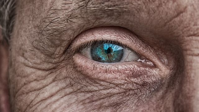 Circadian Clock May Protect Aging Eyes | Technology Networks