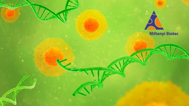 Effective Nuclei Isolation From Tissue for Single-Nucleus Sequencing ...