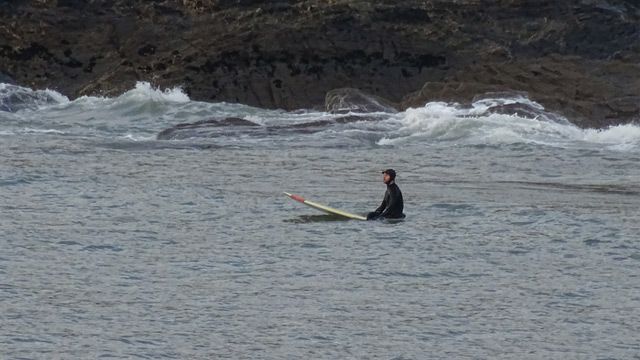 Surfboard Seawater Sampling Helps Scientists Understand Microscopic ...