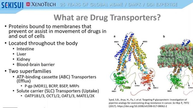 In Vitro DDI Drug Transporter Studies | ADME 101 Webinar: Efflux and ...