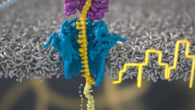 Adaptive Sampling: Target Regions of DNA in Real Time | Technology Networks