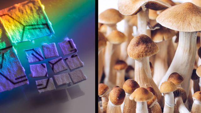 Behind the Scenes on the First Study To Compare the Effects of LSD and ...