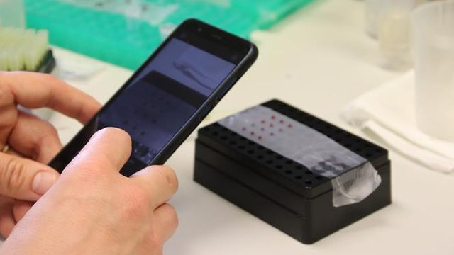 Cell Phone Test Easily Detects Gluten in Foods | Technology Networks