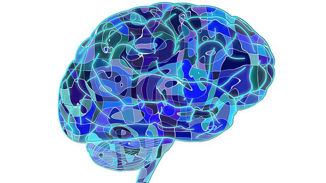 New Technique Reveals Architecture of the Resting Brain | Technology ...