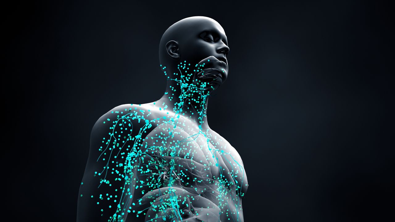 Mapping the Body’s Defense System: The Immune Cell Atlas | Technology ...