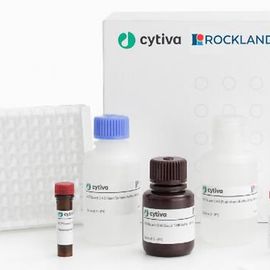 Amersham™ HCPQuant CHO HCP ELISA Kits | Technology Networks