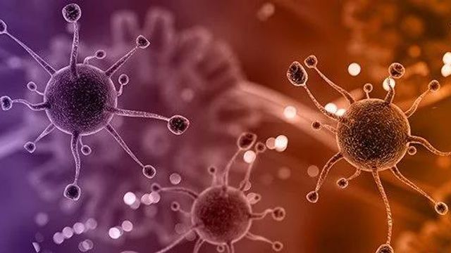 Conducting Research on Highly Pathogenic Viruses Using Virus ...