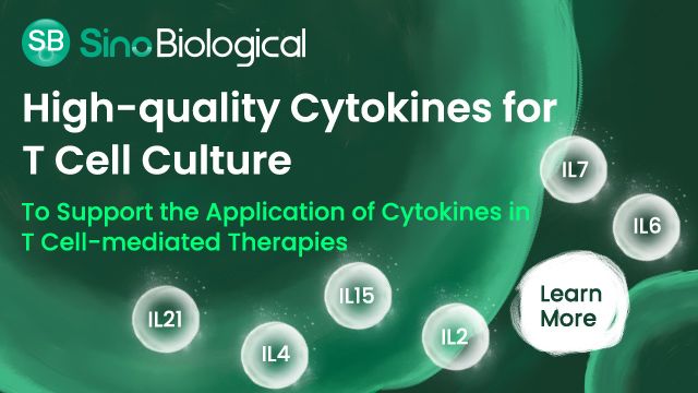 High-Quality Cytokines for T Cell Culture | Technology Networks